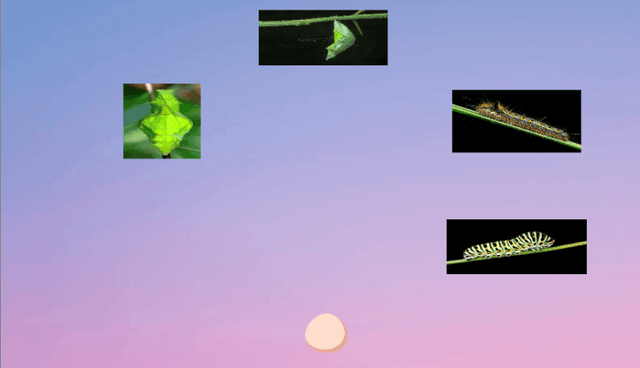 Coding Curriculum for K-12 Kids | Codingal